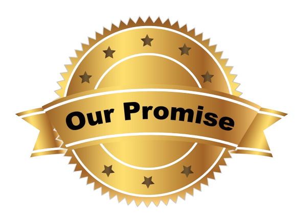 THE INVESTOR-PURCHASE PROCESS AT SCDC